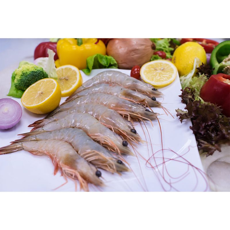 Sea White Prawn - KMC Distribution Sdn Bhd