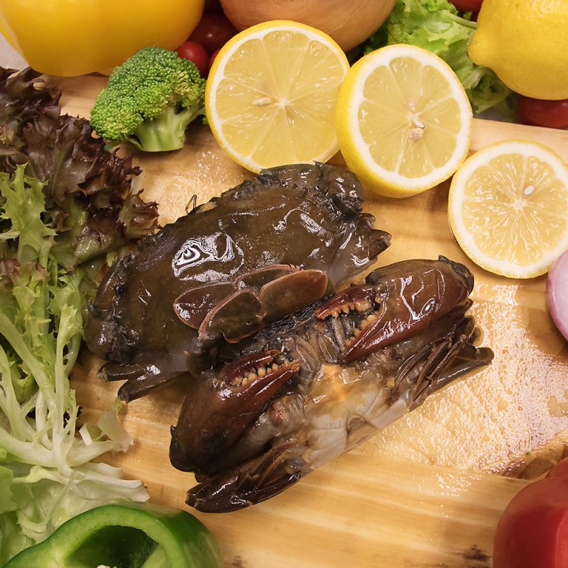Crustaceans - KMC Distribution Sdn Bhd